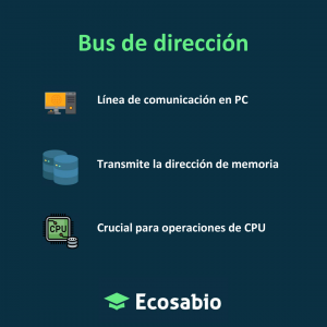 Bus de dirección - Qué es, definición y concepto - Muy Tecnológicos